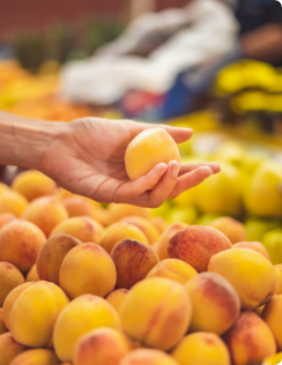 YugabyteDB—The Distributed SQL Database for Mission-Critical Applications